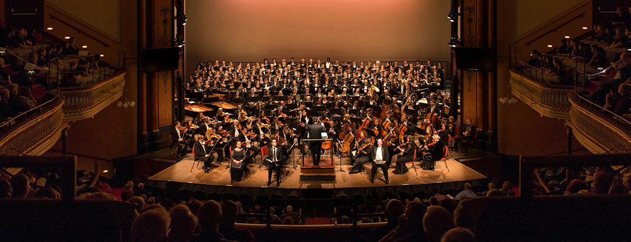 Announcements – Delaware Symphony Orchestra